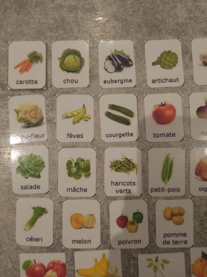 Lot 45 Pictograms Fruits and Vegetables Autistic Montessori Pecs ...