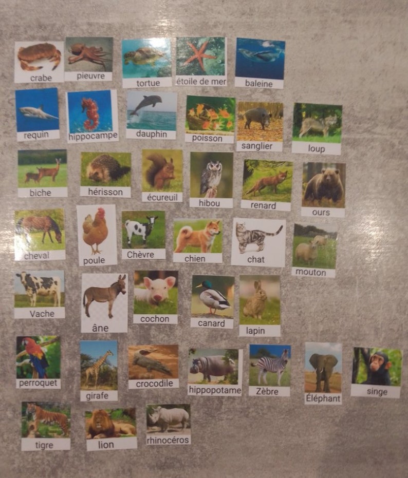 Pictogramme nomenclature animaux pecs Montessori autisme autiste non ...