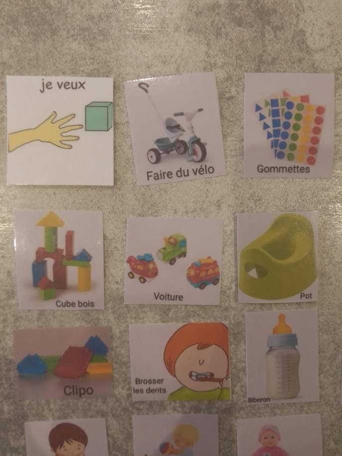 Pictograms Communication Binder Pecs Montessori Autistic Non-verbal ...