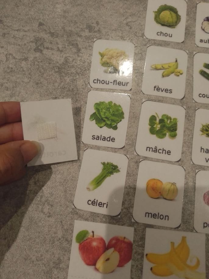 Lot 45 Pictograms Fruits and Vegetables Autistic Montessori Pecs ...