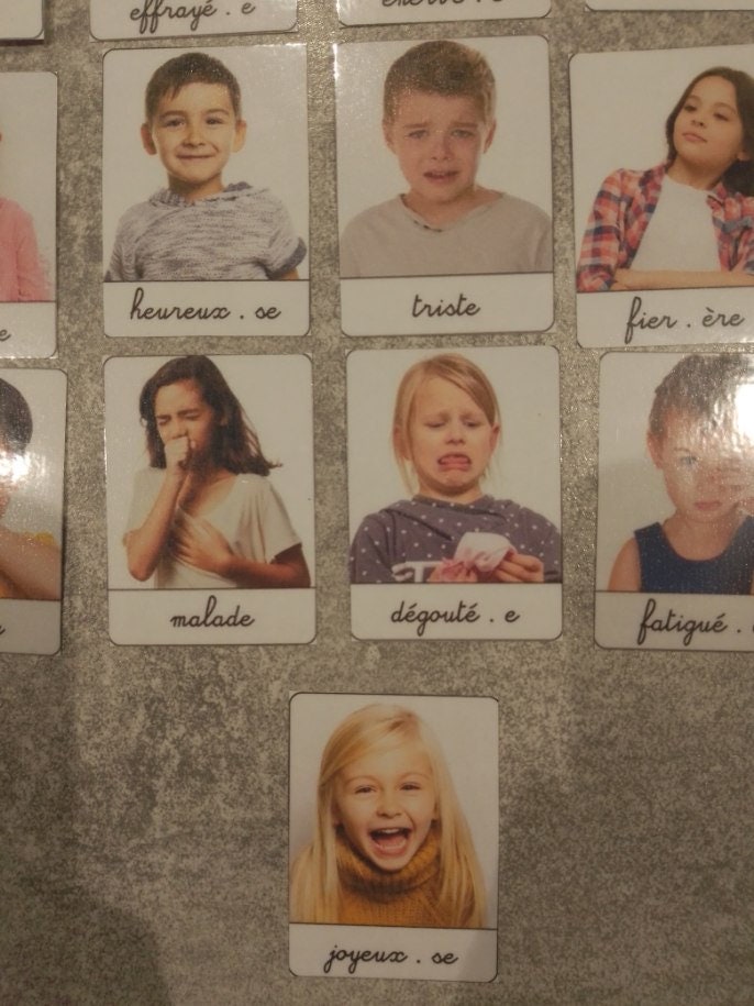 Pictogram Emotions Autistic Pecs Montessori Nonverbal Autonomy - Etsy