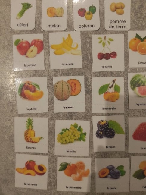 Lot 45 Pictograms Fruits and Vegetables Autistic Montessori Pecs ...