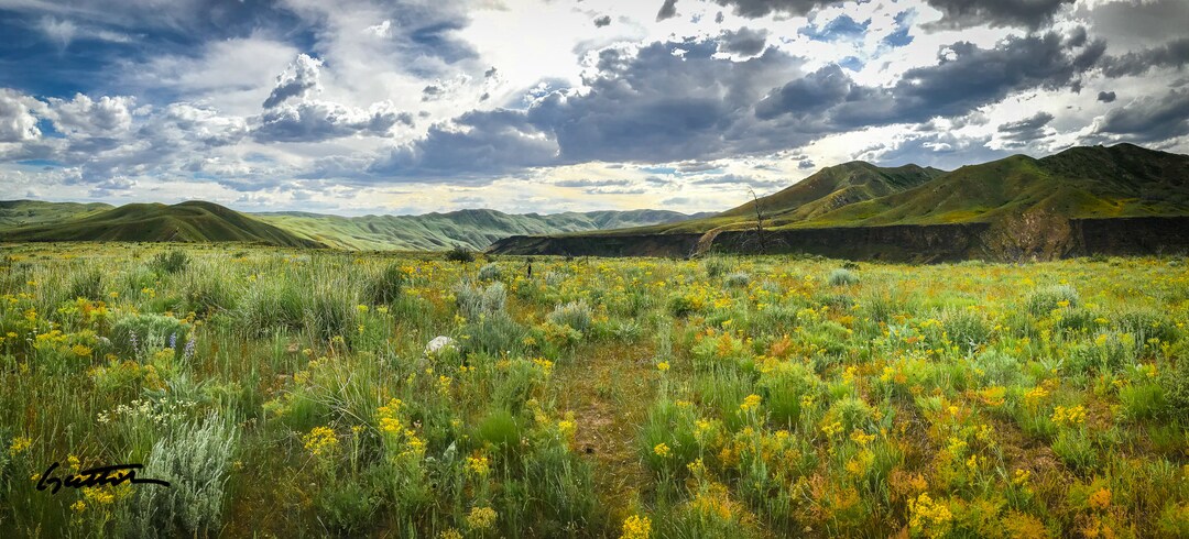 Photograph, South Fork Boise River Country, Idaho Landscape Panorama ...