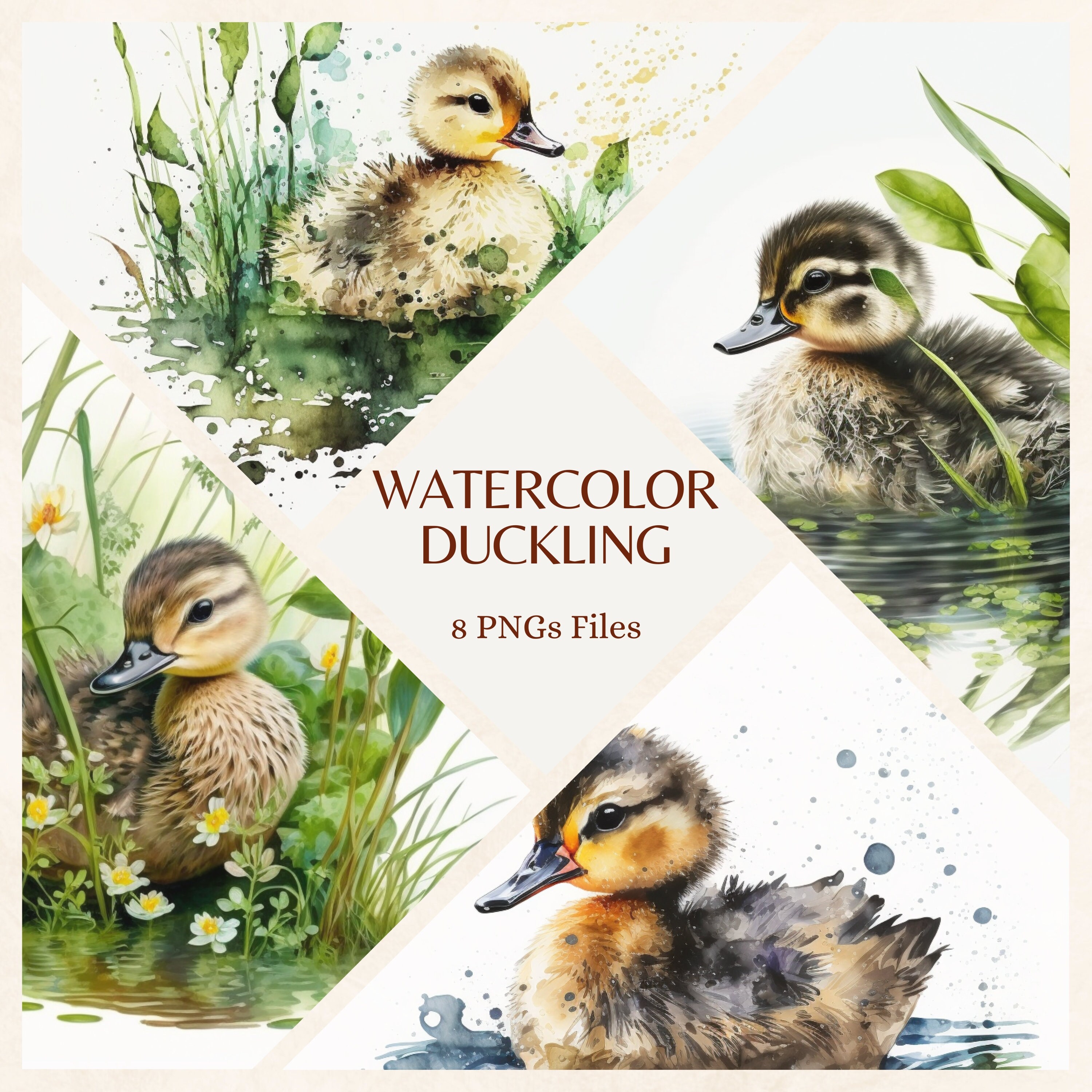 Cute Duckling Design Bundle, Spring Duckling Illustration Bundle, 8 ...