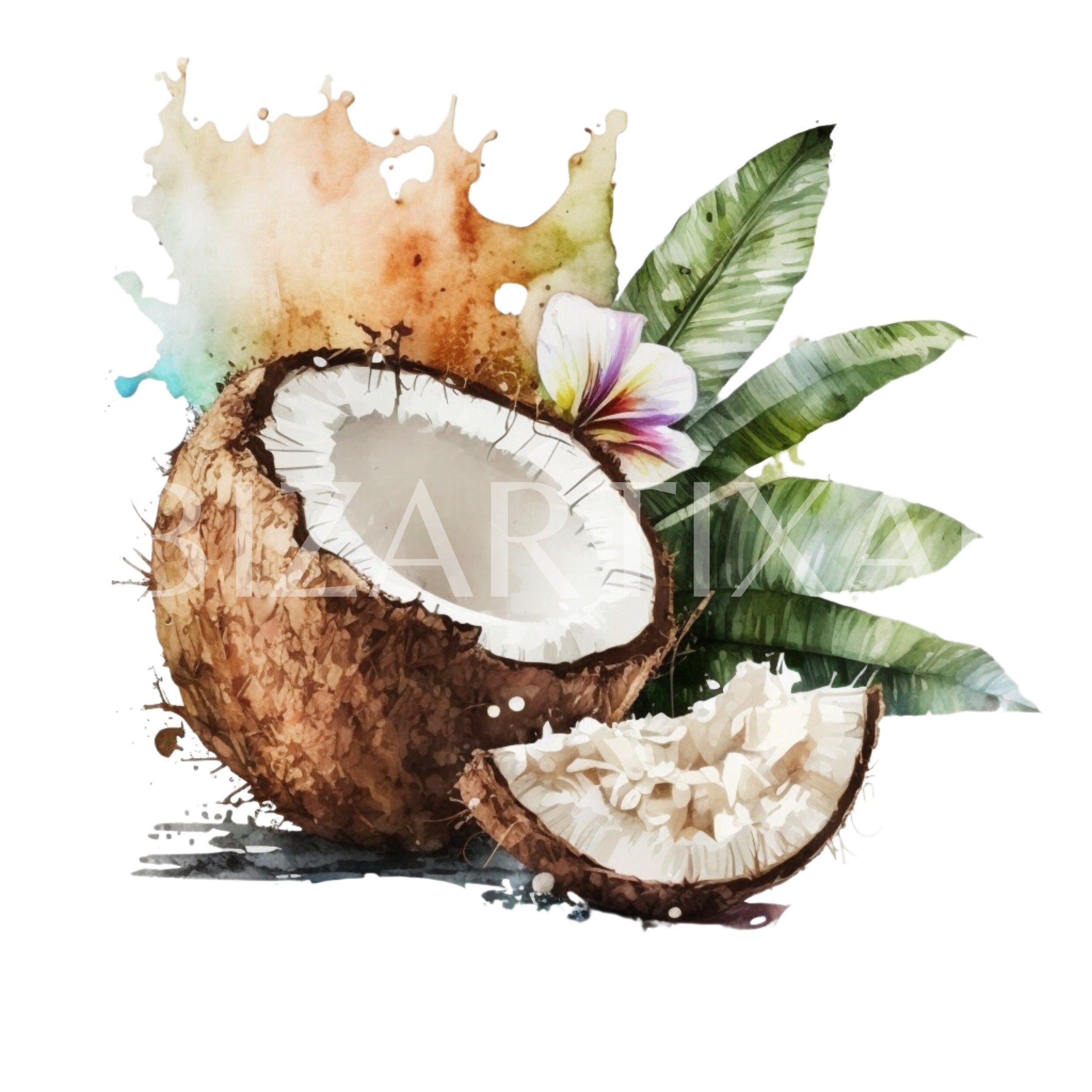 Watercolor Coconuts Clipart drinks Clipart Dessert Clipart Summer ...