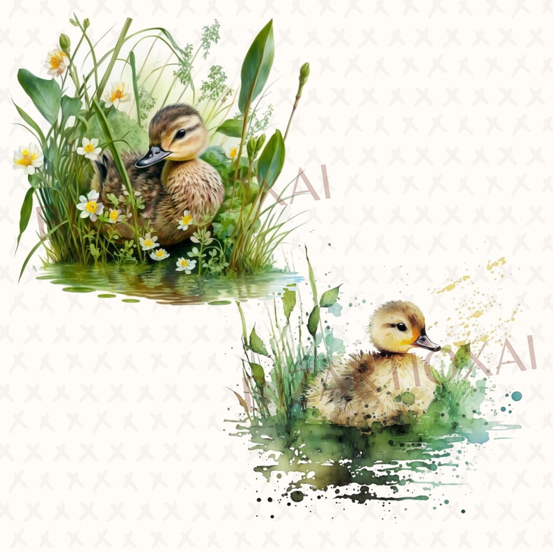 Cute Duckling Design Bundle, Spring Duckling Illustration Bundle, 8 ...