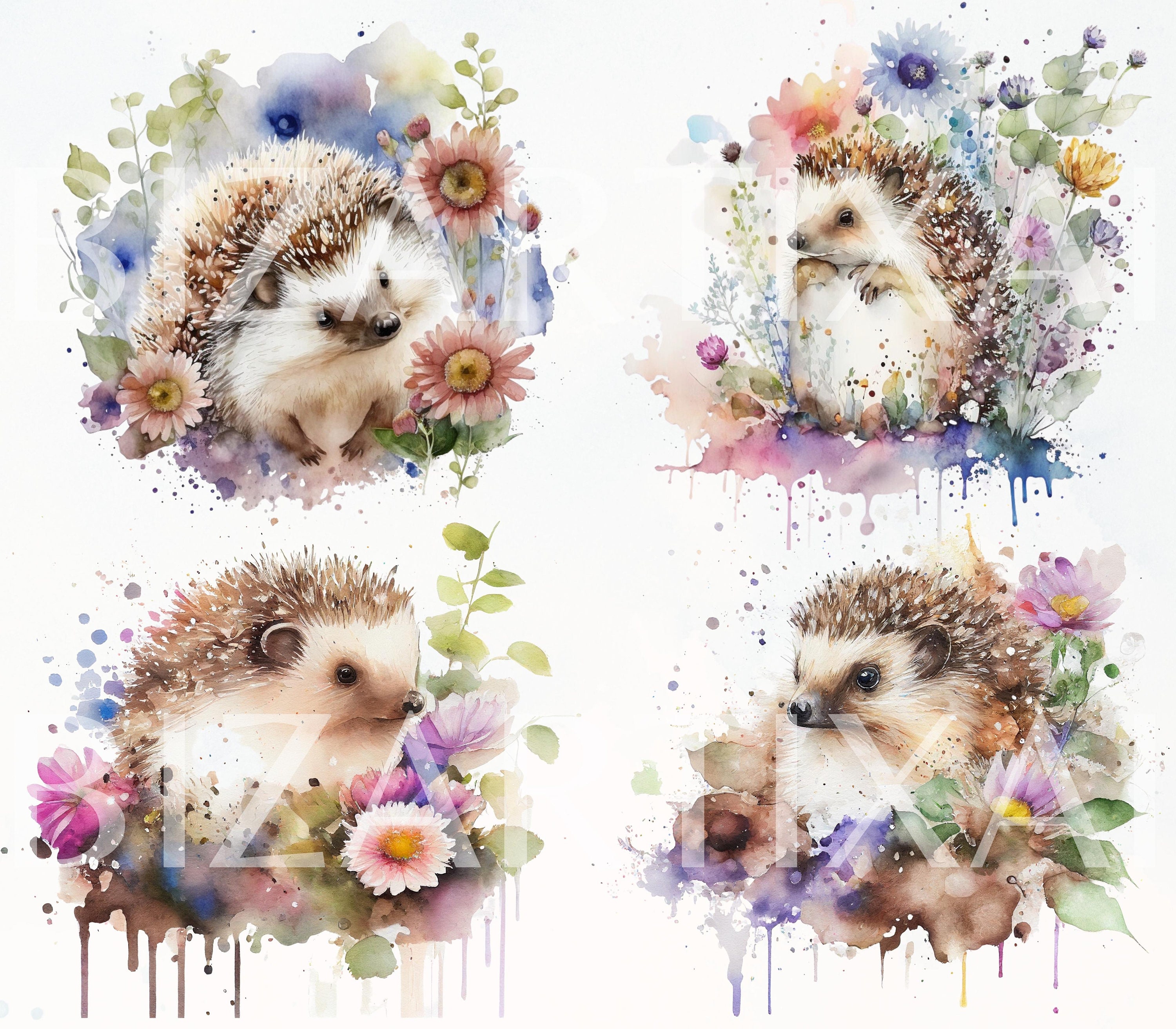 Watercolor Hedgehog Clipart Cute Hedgehog Flowers Clipart 8 High ...