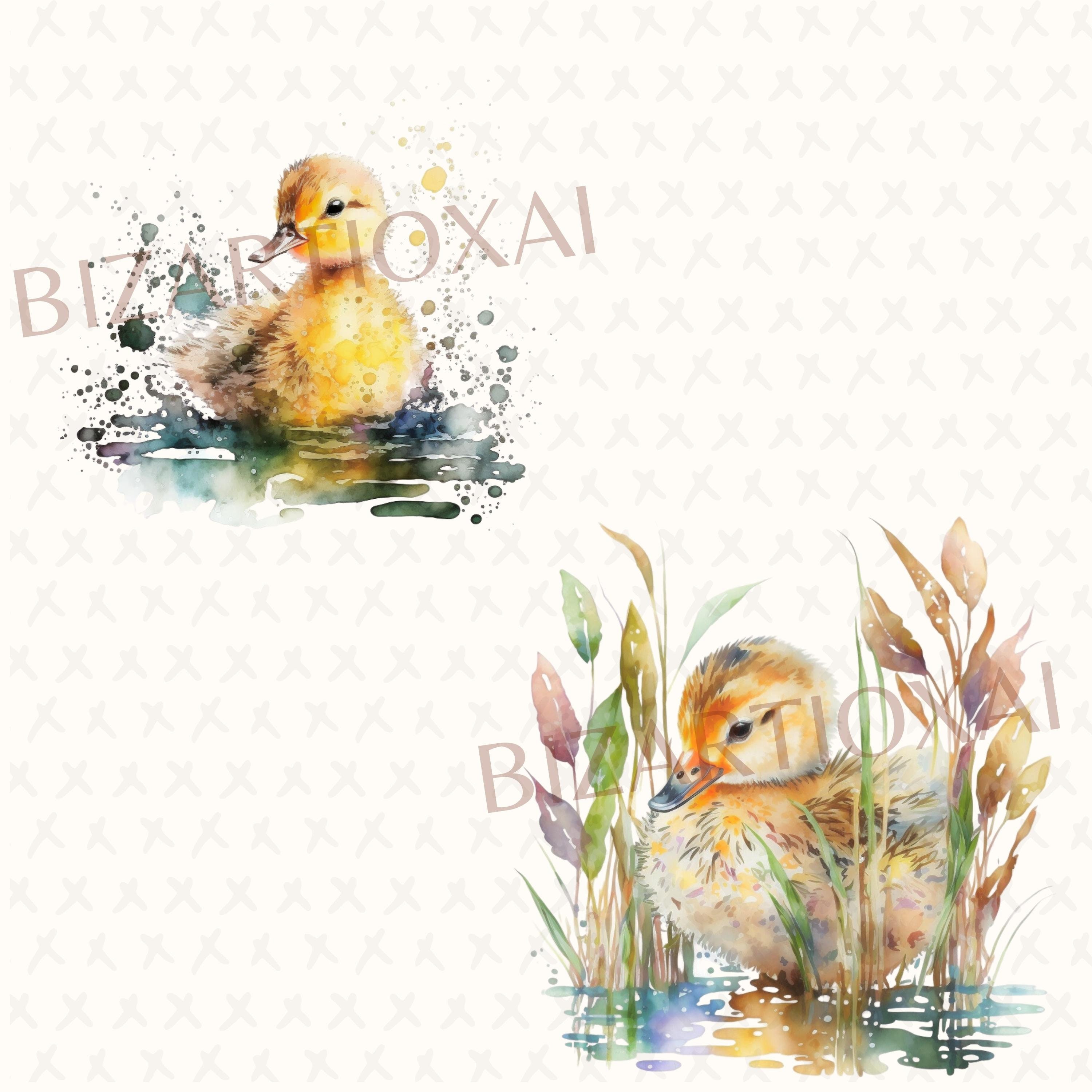 Cute Duckling Design Bundle, Spring Duckling Illustration Bundle, 8 ...