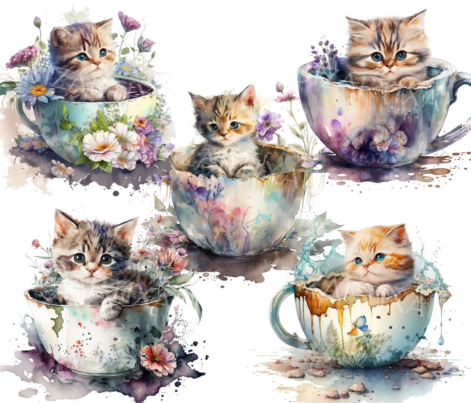 19 Kitten in a Cup Clipart Kitten Clipart Pngs Cat Clipart - Etsy