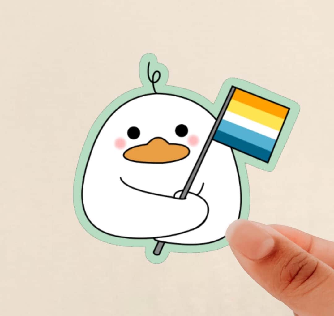 Duck With Aroace Flag, Aroace Pride Flag, Aroace Visibility ...