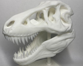 T-rex Skull 3D Printed / T-rex Jaws / 3D Printed Transparent Skull - Etsy