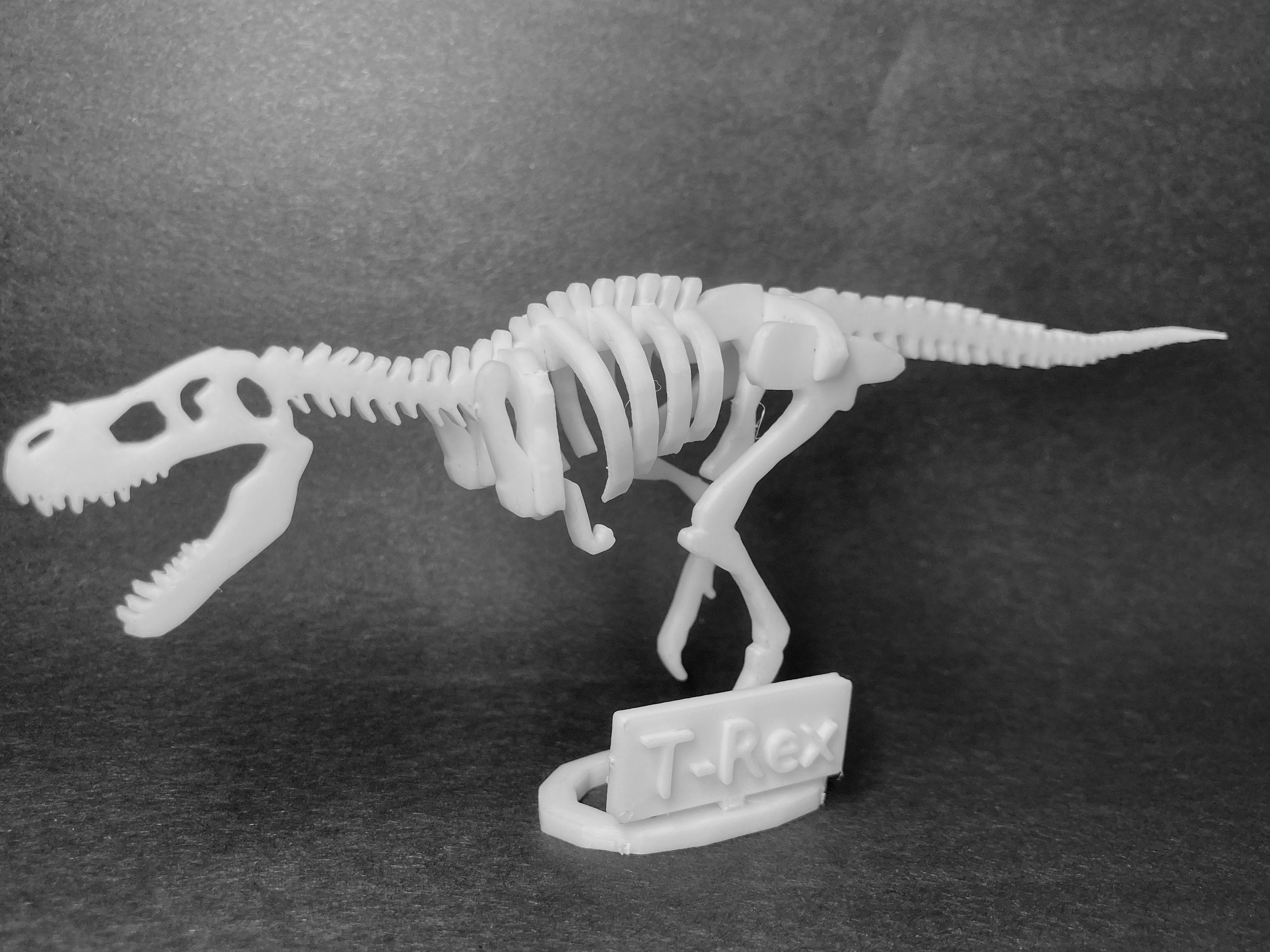 3D Printed T-rex Model Kit Card - Etsy