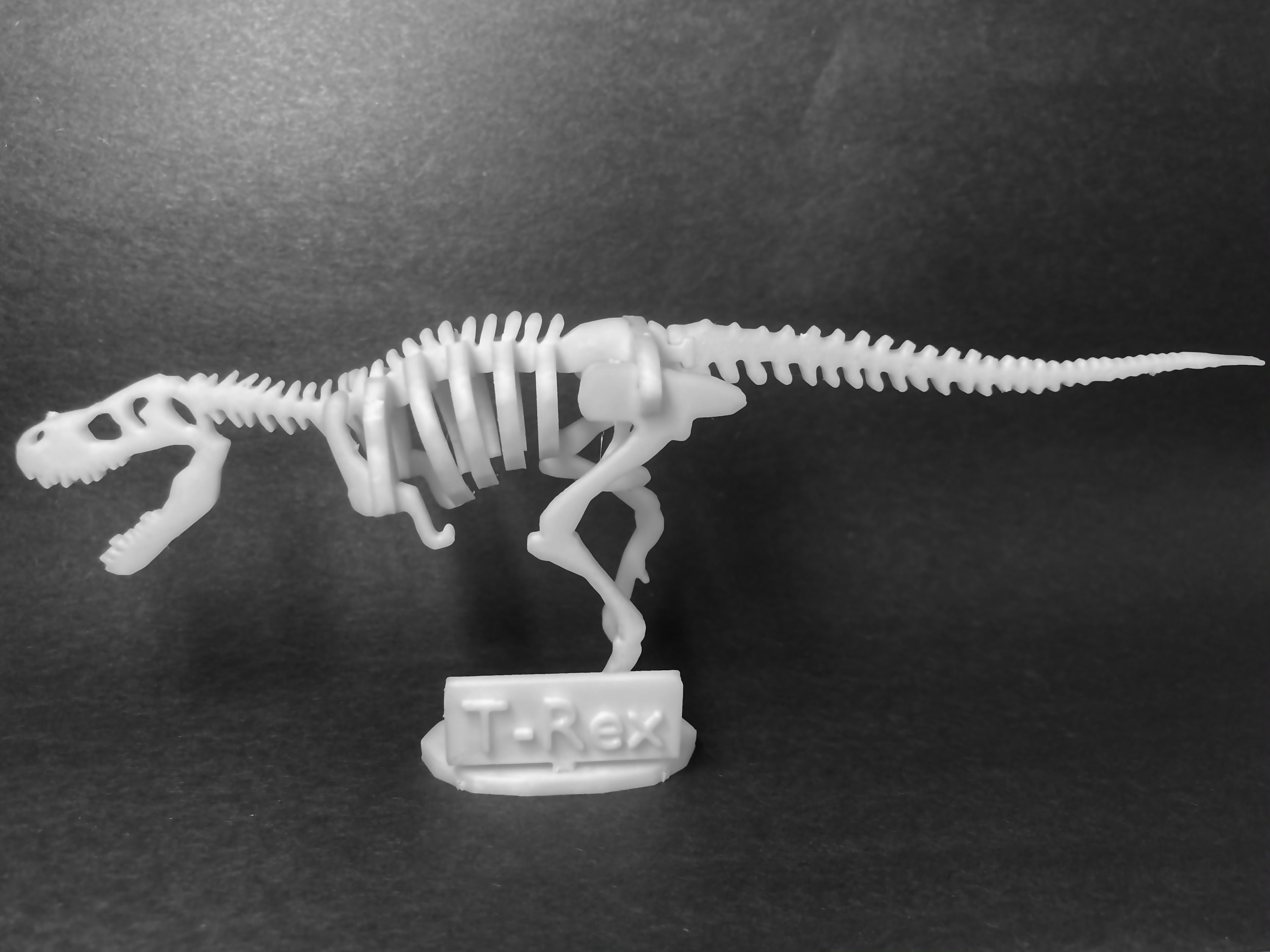 3D Printed T-rex Model Kit Card - Etsy