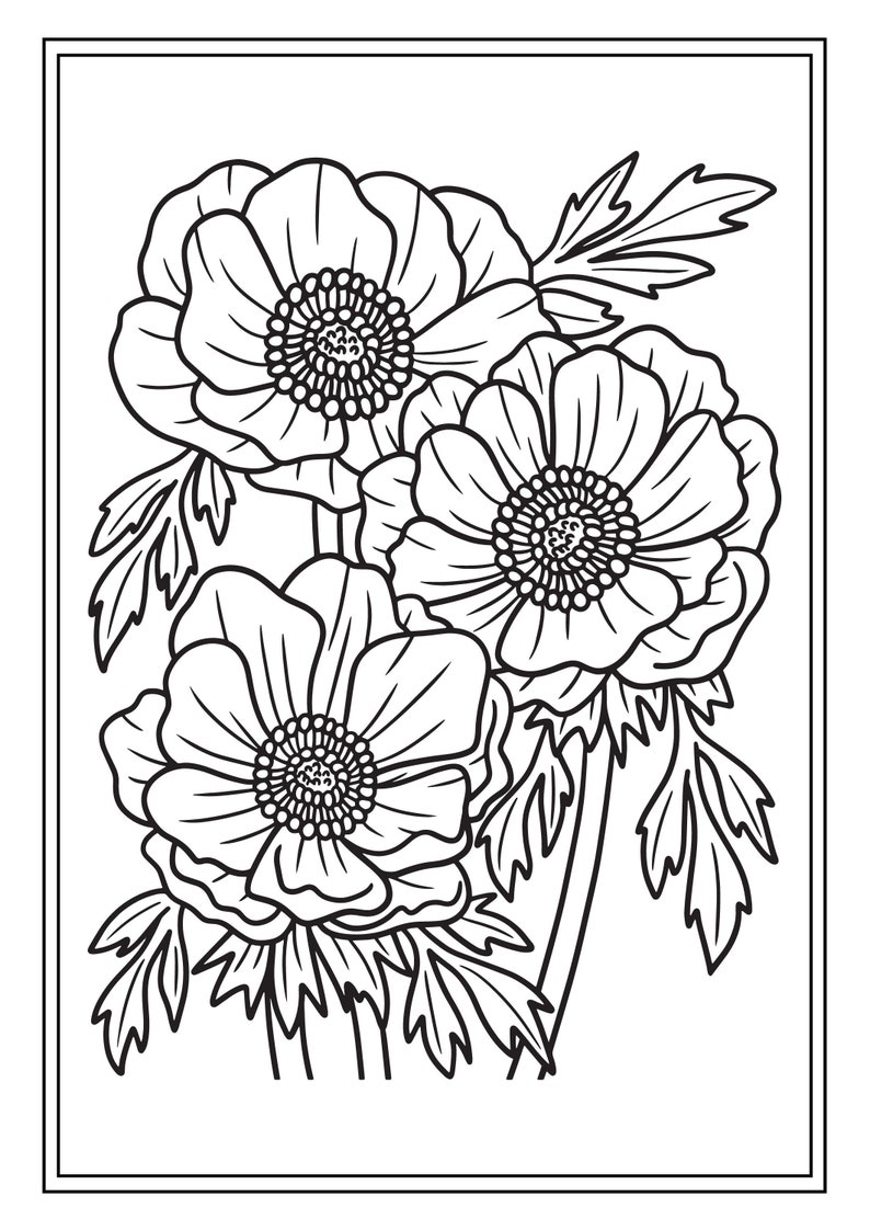 25 Beautiful Flower Coloring Pages Printable PDF Instant - Etsy