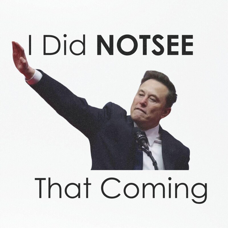 Anti Elon Musk Magnet - Etsy