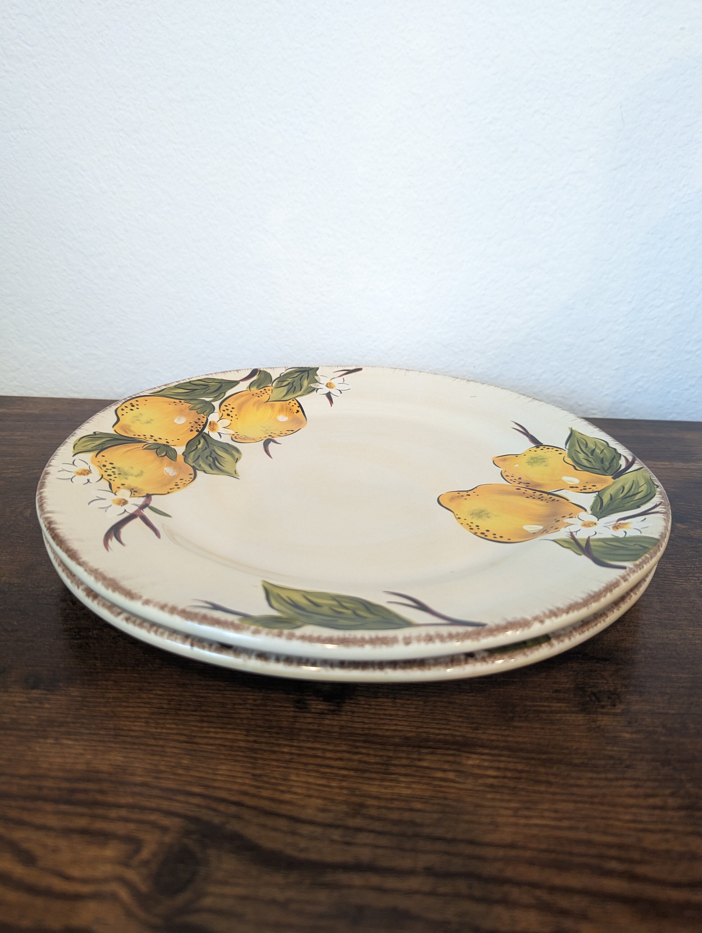 Pier 1 avalon Dinner Plates Lemon Pattern Hand Decorated 10.75 ...