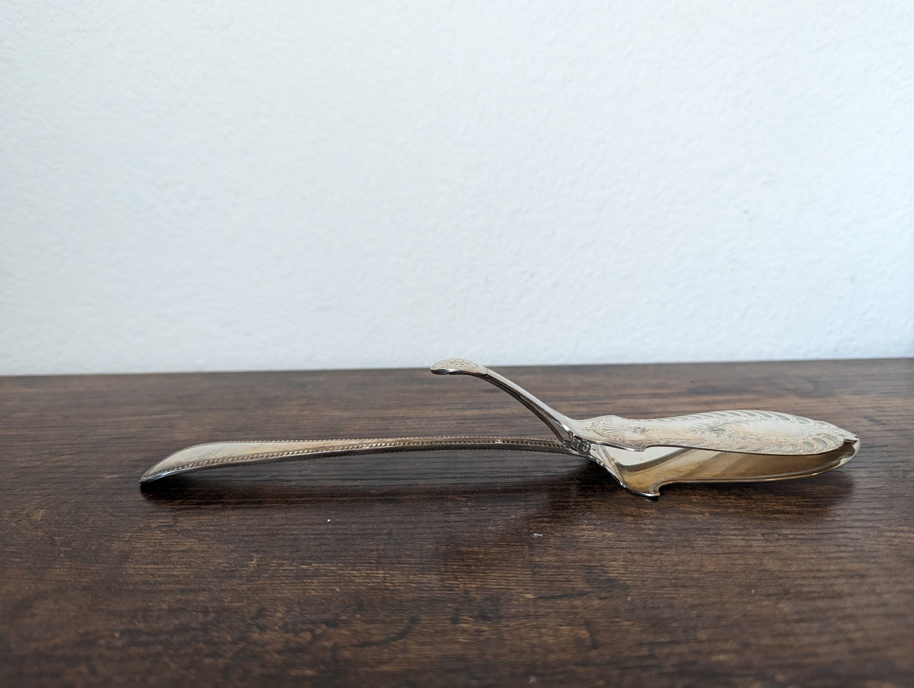 Silver Fish Pastry Asparagus Servingware - Etsy