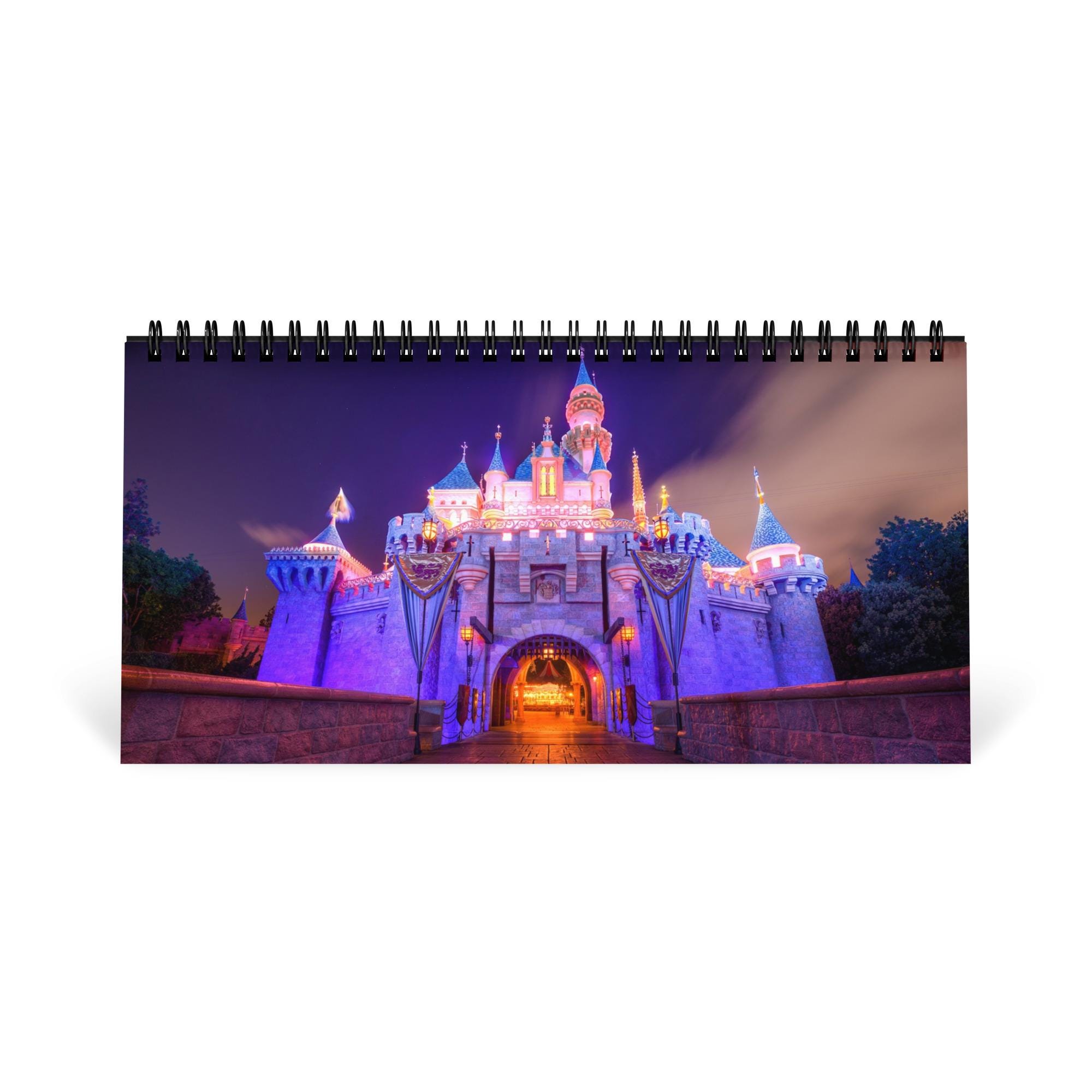 Disneyland DCA Theme Park Scenery Attractions and Icons 2026 Desktop ...