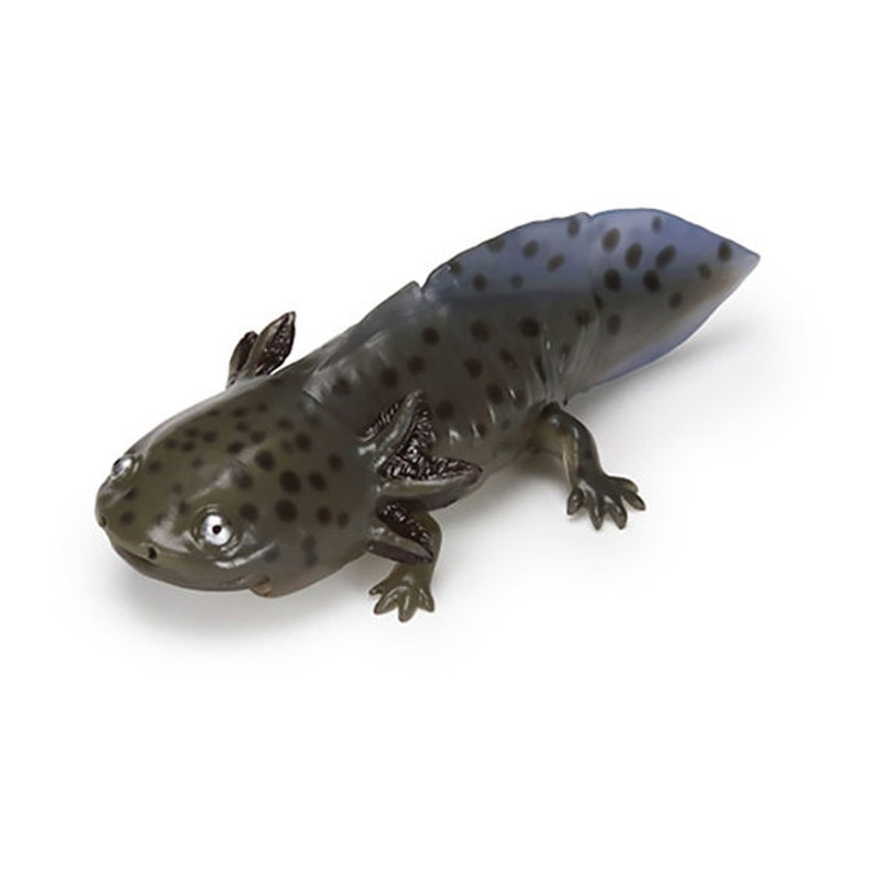 Bandai "diversity of Life on Earth" Axolotl & Japanese Giant Salamander ...