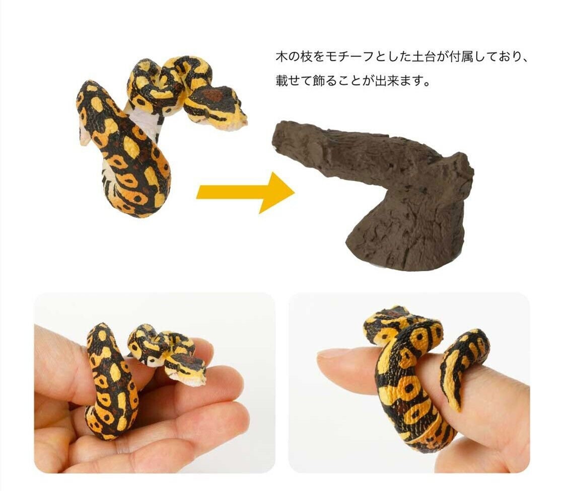 BANDAI diversity of Life on Earth Yubimaki Collection Ball Python ...