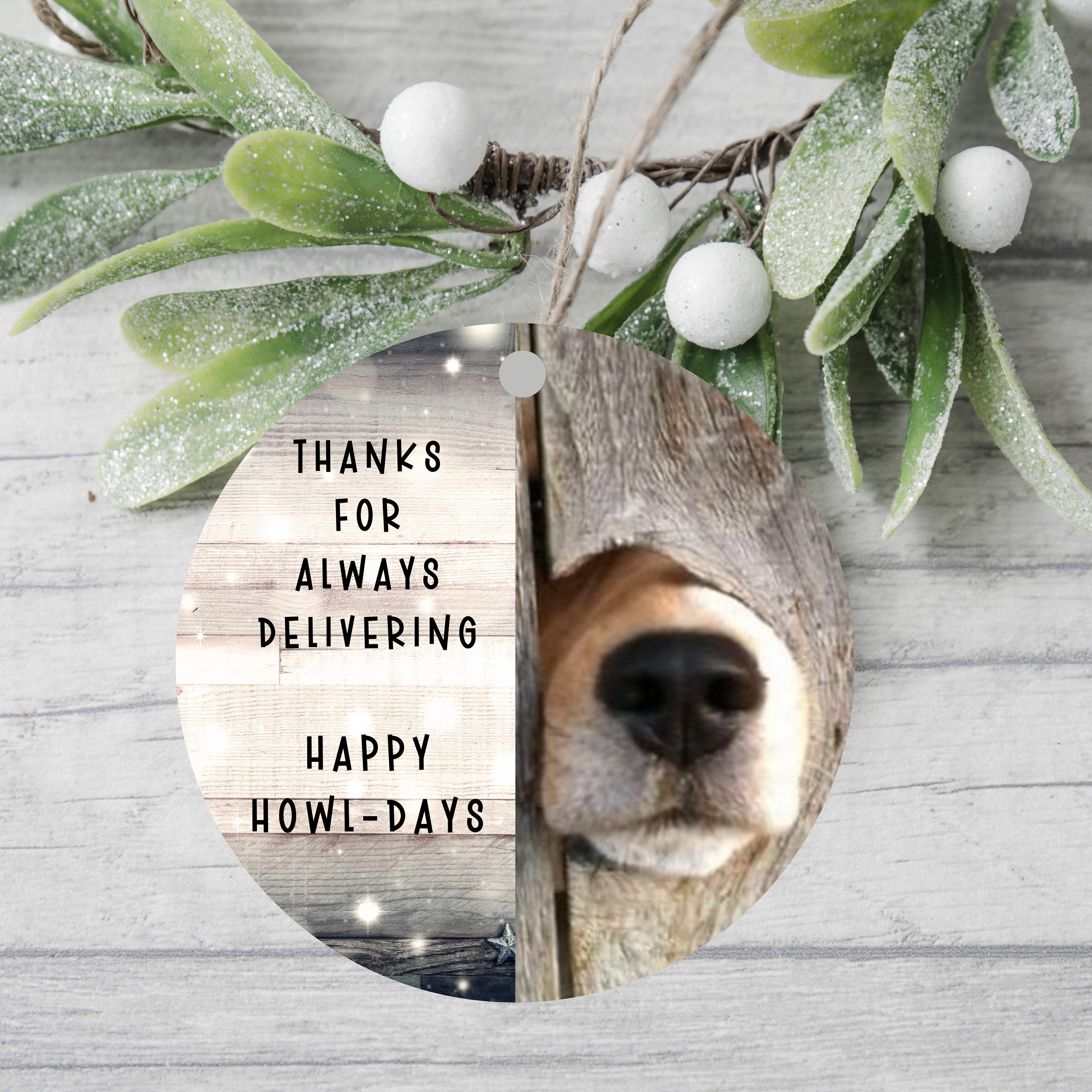 Mailman Mail Carrier Gift From Dog Delivery Driver Christmas Holiday ...