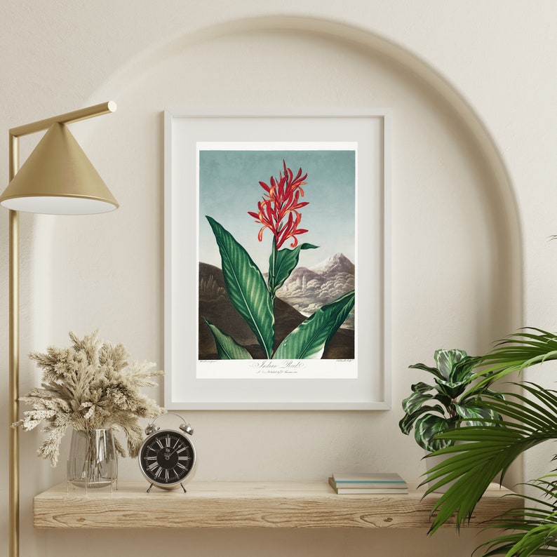 Printable Indian Reed From the Temple of Flora (1807) by Robert John ...