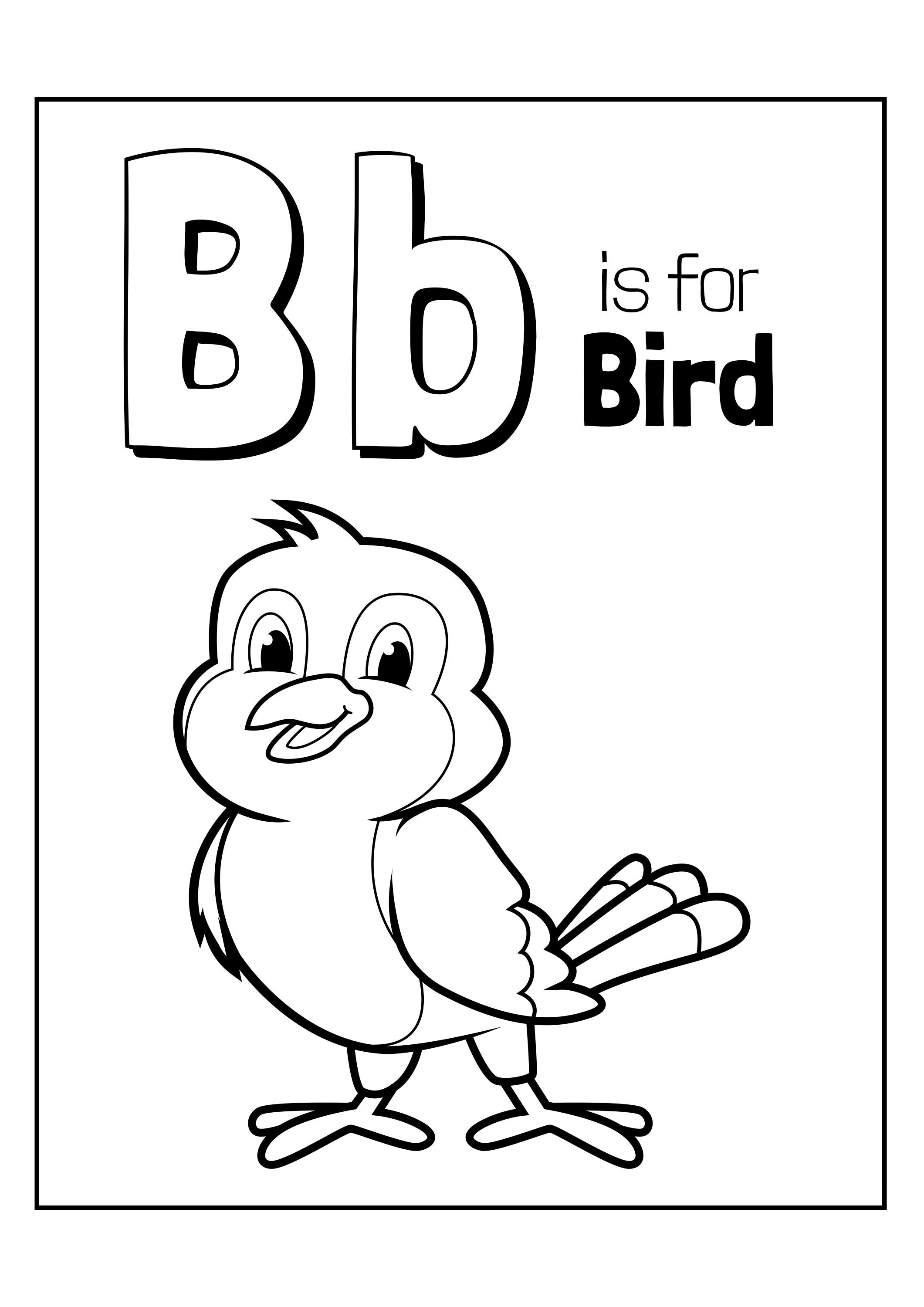 THE ALPHABET SAFARI A Coloring Book for Kids - Etsy