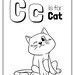 THE ALPHABET SAFARI A Coloring Book for Kids - Etsy
