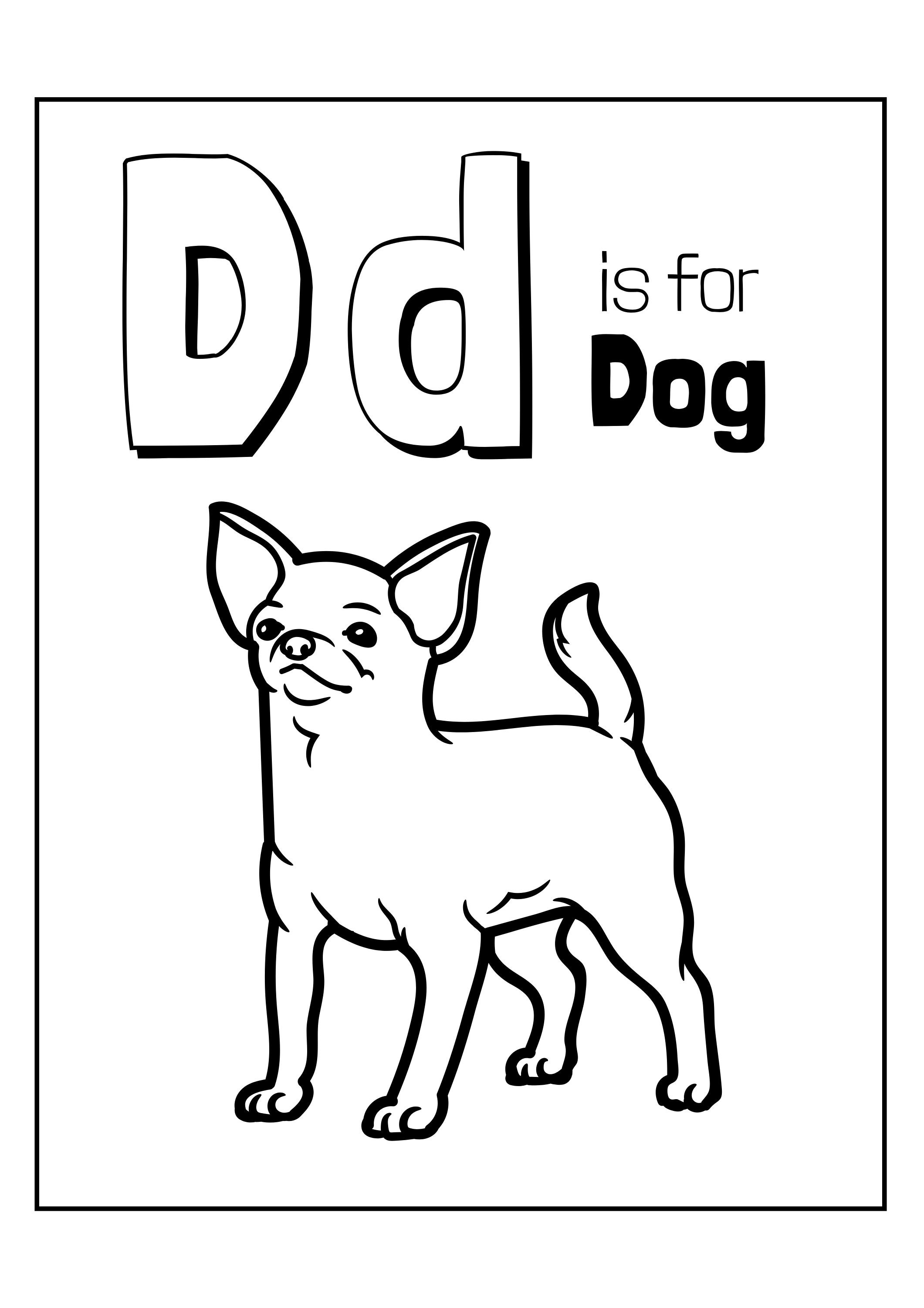 THE ALPHABET SAFARI A Coloring Book for Kids - Etsy