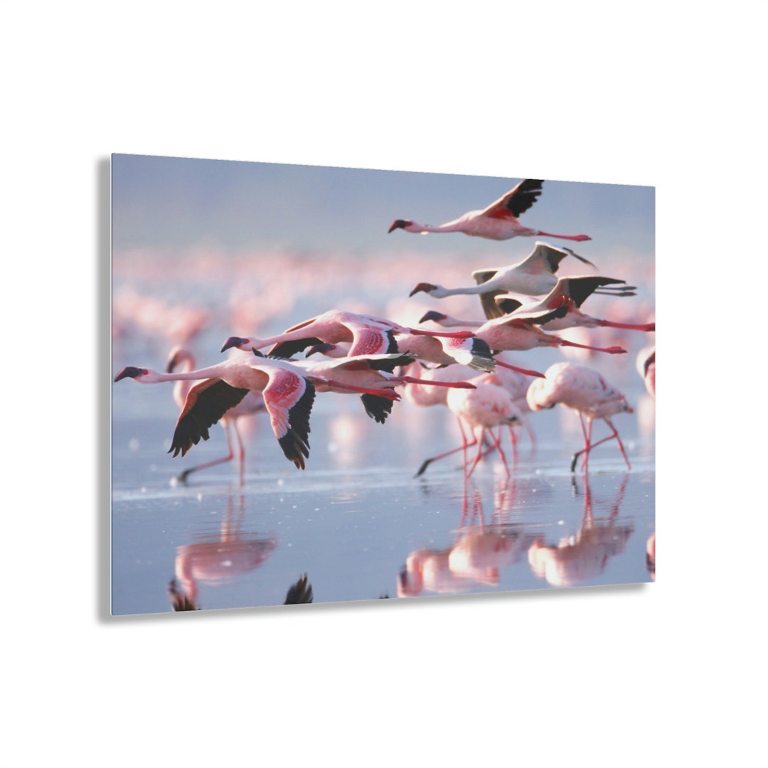 Flamingo Room Painting for Designer Rooms - Etsy