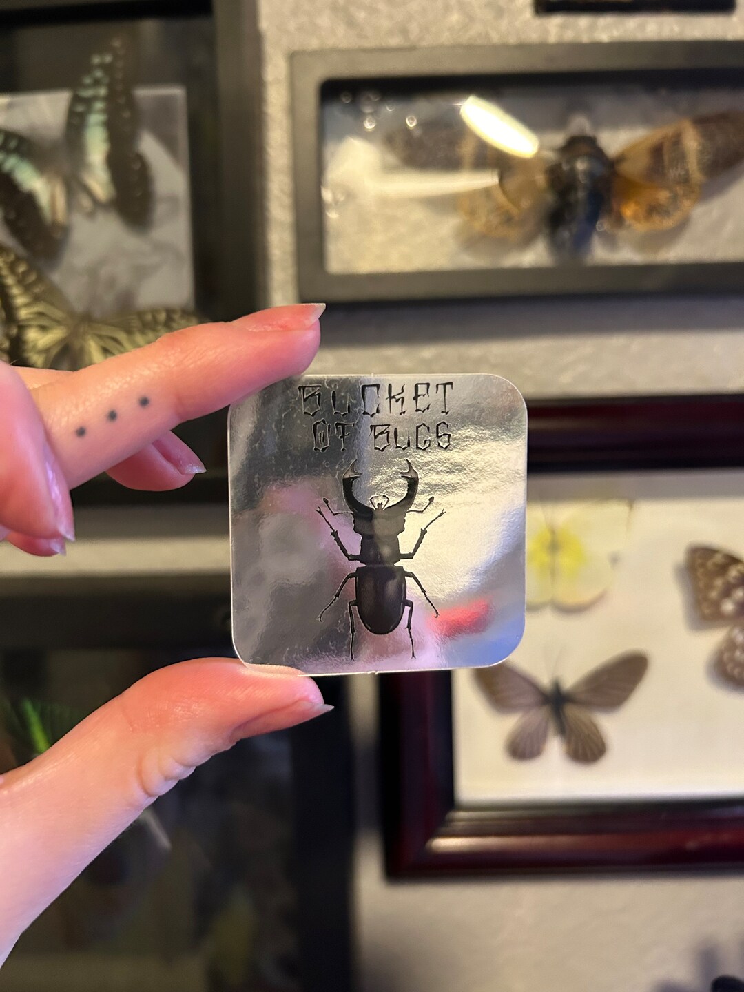 Mirror Bob the Stag Beetle Vinyl Sticker - Etsy