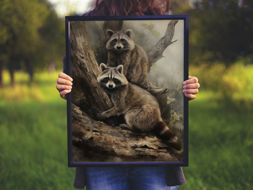 Raccoon Wall Decor Raccoon Art Print Vintage Raccoon Instant Watercolor ...