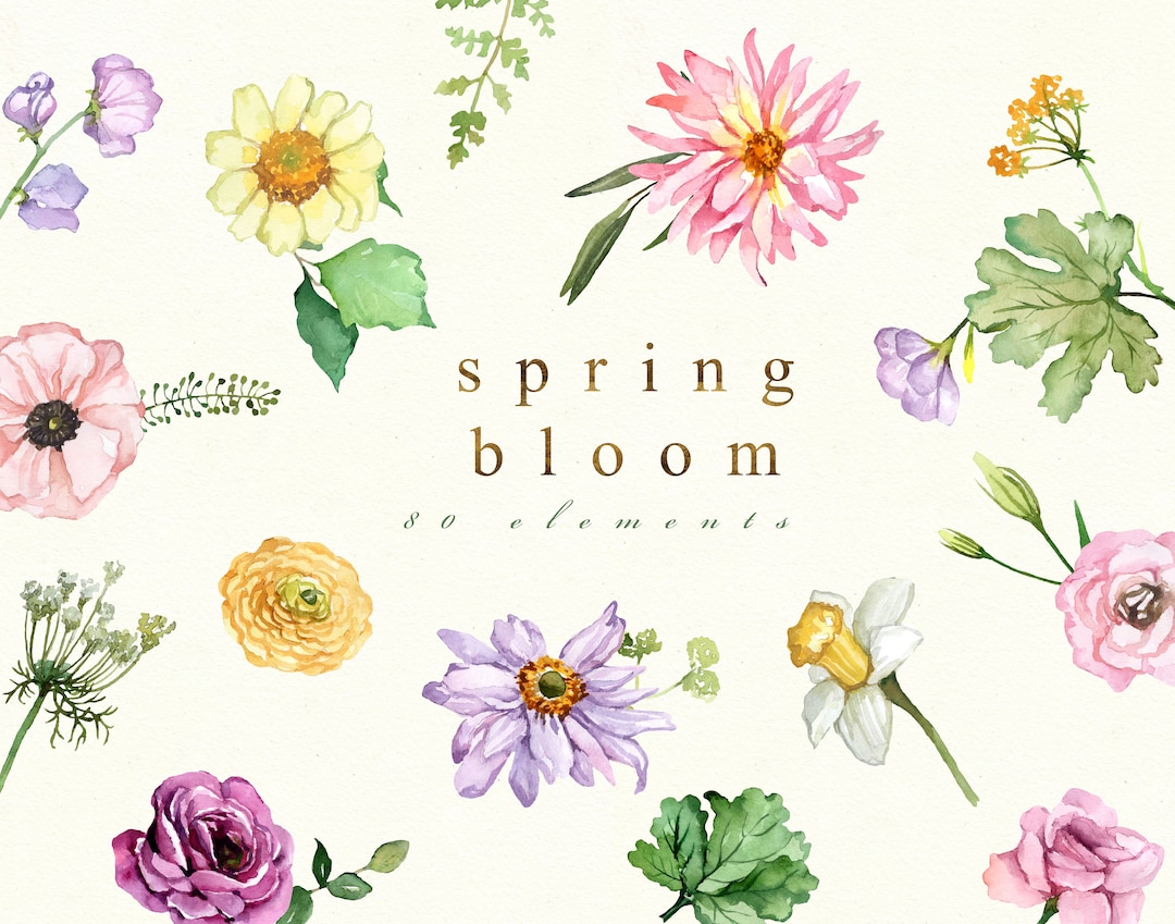 Watercolor Spring Bloom Elements Floral Clipart Summer Dahlia Wedding ...