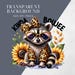 Kinda Boujee Png, Funny Baby Raccoon PNG, Funny Mom Sublimation Design ...