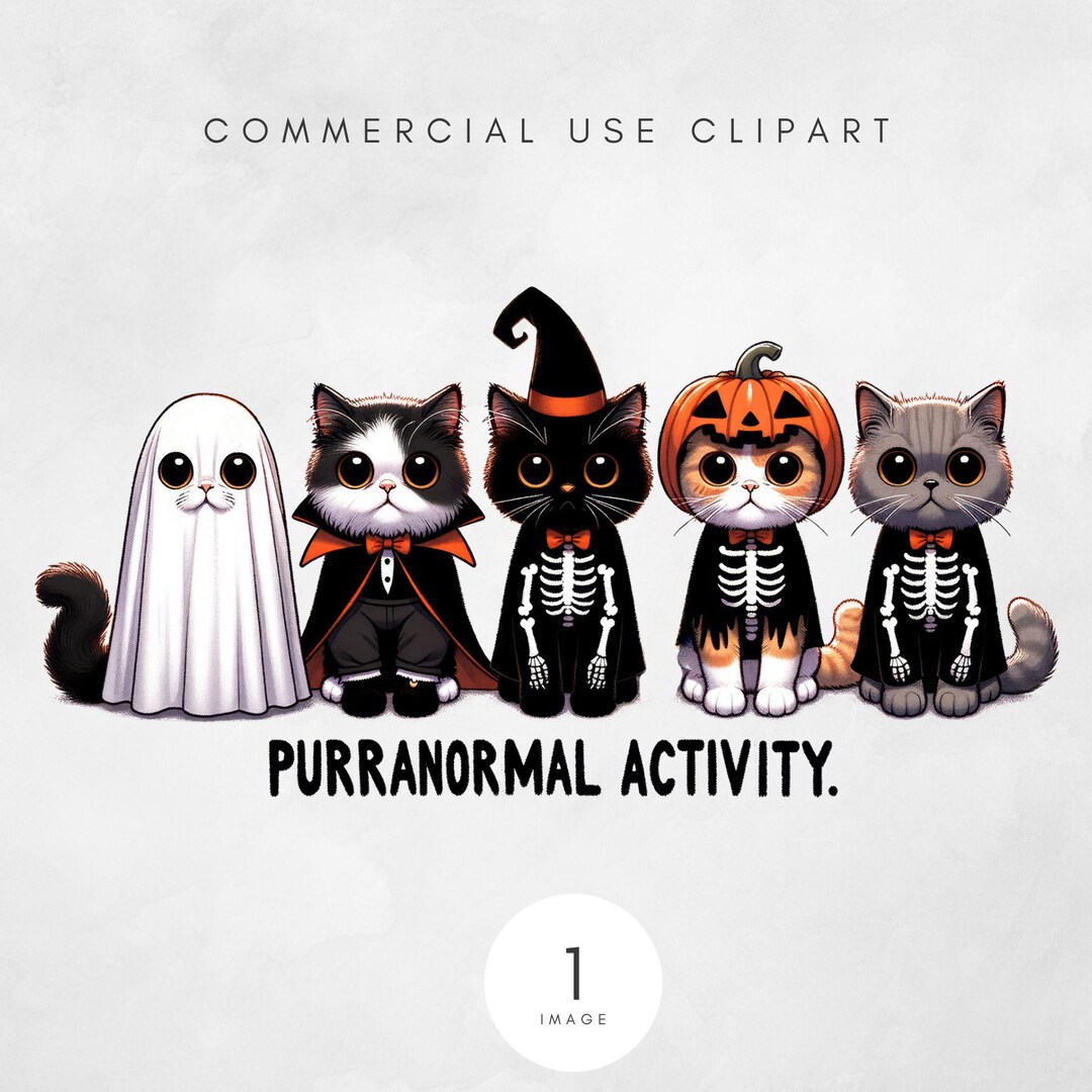 Black Cat Pumpkin PNG Ghost Cat Retro Halloween Clipart Spooky Digital ...