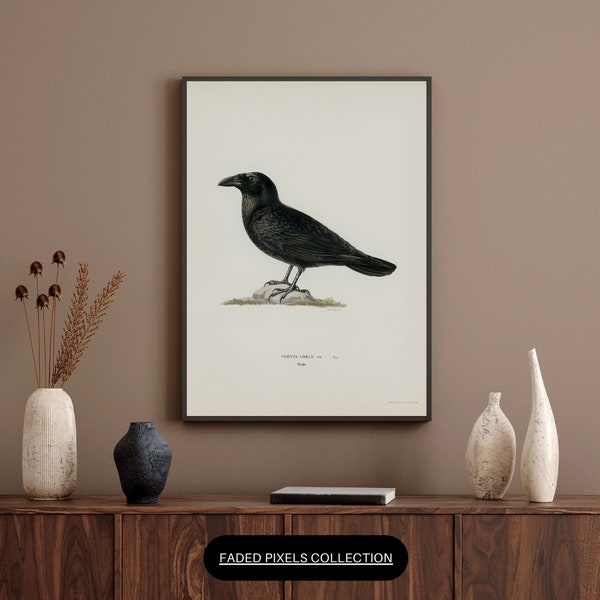 Crowcore - Etsy