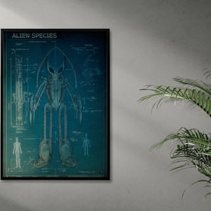 Alien Species Blueprint Aliens Sci-fi Futuristic Colourful Printable ...