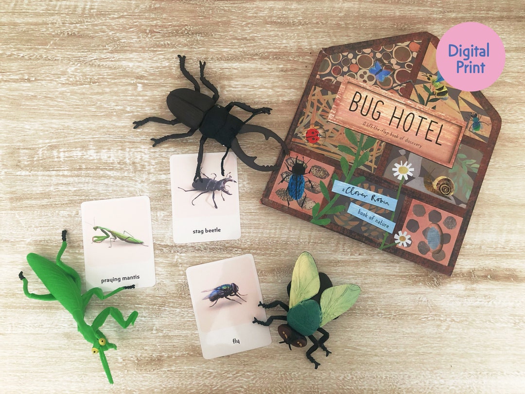Montessori Cards, Three Part Cards, Nomenclature Cards of Bugs, Flash ...
