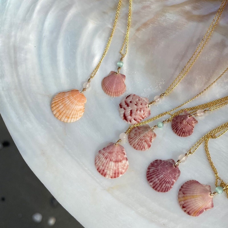 Sea Shell Jewelry - Etsy