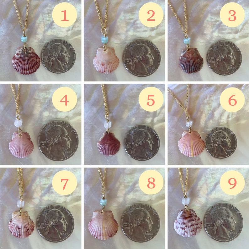 Shell Necklace 14k Gold Filled, Anti-tarnish Necklace, Dainty Seashell ...