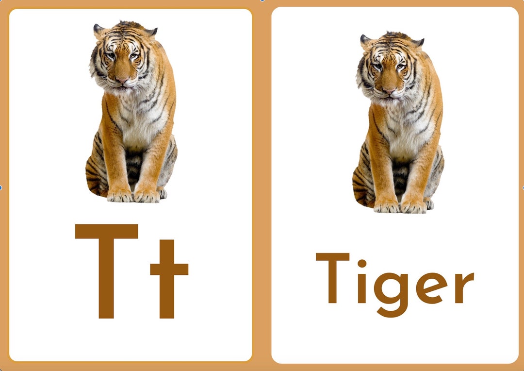 Montessori Animal Alphabet Flash Cards - Etsy