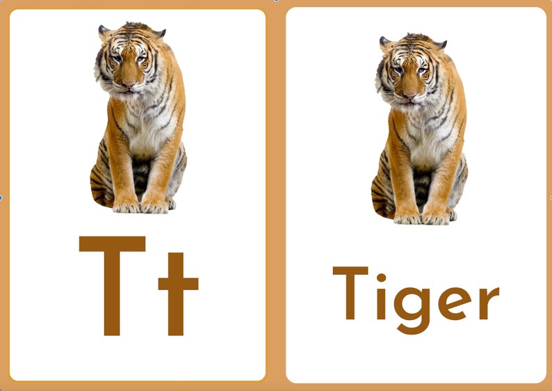 Montessori Animal Alphabet Flash Cards - Etsy