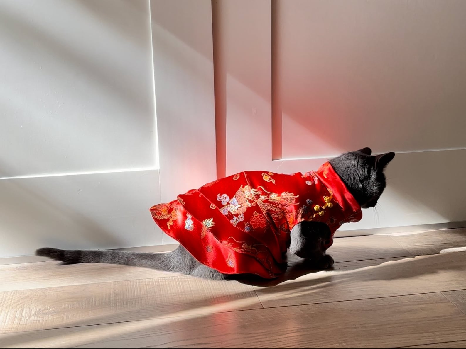 Cheongsam / Qipao Dress for Cats PDF Digital Sewing Pattern - Etsy