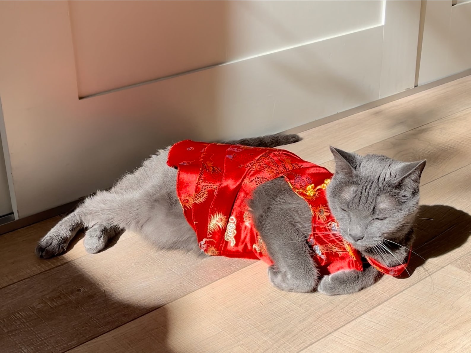 Cheongsam / Qipao Dress for Cats PDF Digital Sewing Pattern | Chinese ...