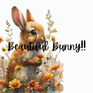 Spring Clip Art Bundle - 110 PNG Images, Transparent Background, Spring ...