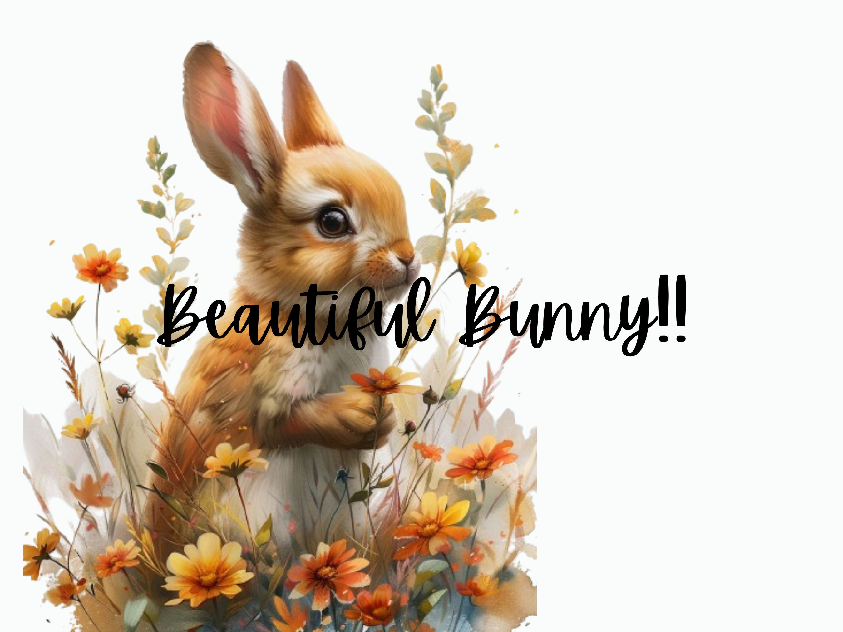 Spring Clip Art Bundle - 110 PNG Images, Transparent Background, Spring ...