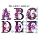 Flower Clipart Alphabet Letters PNG Files for Floral Digital Download ...