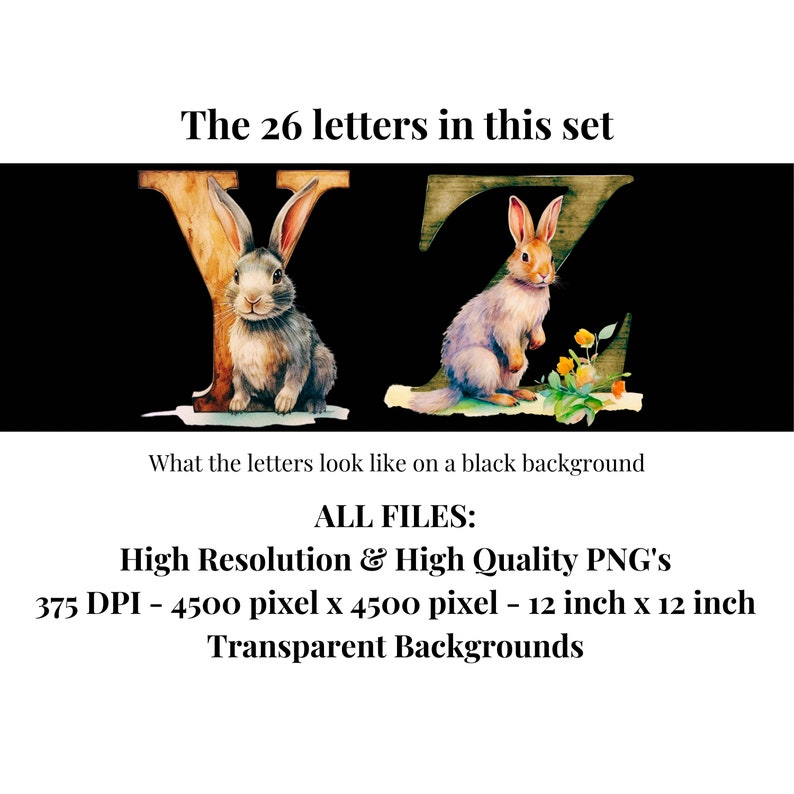 Bunny Rabbit Animal Alphabet Clipart for Farmhouse Font Cricut ...
