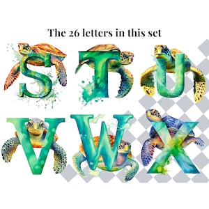 Sea Turtle PNG Watercolor Animals Alphabet Clipart for Under the Sea ...