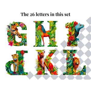 Jungle Animal Alphabet Clipart Commercial Use Digital Art for Banners ...